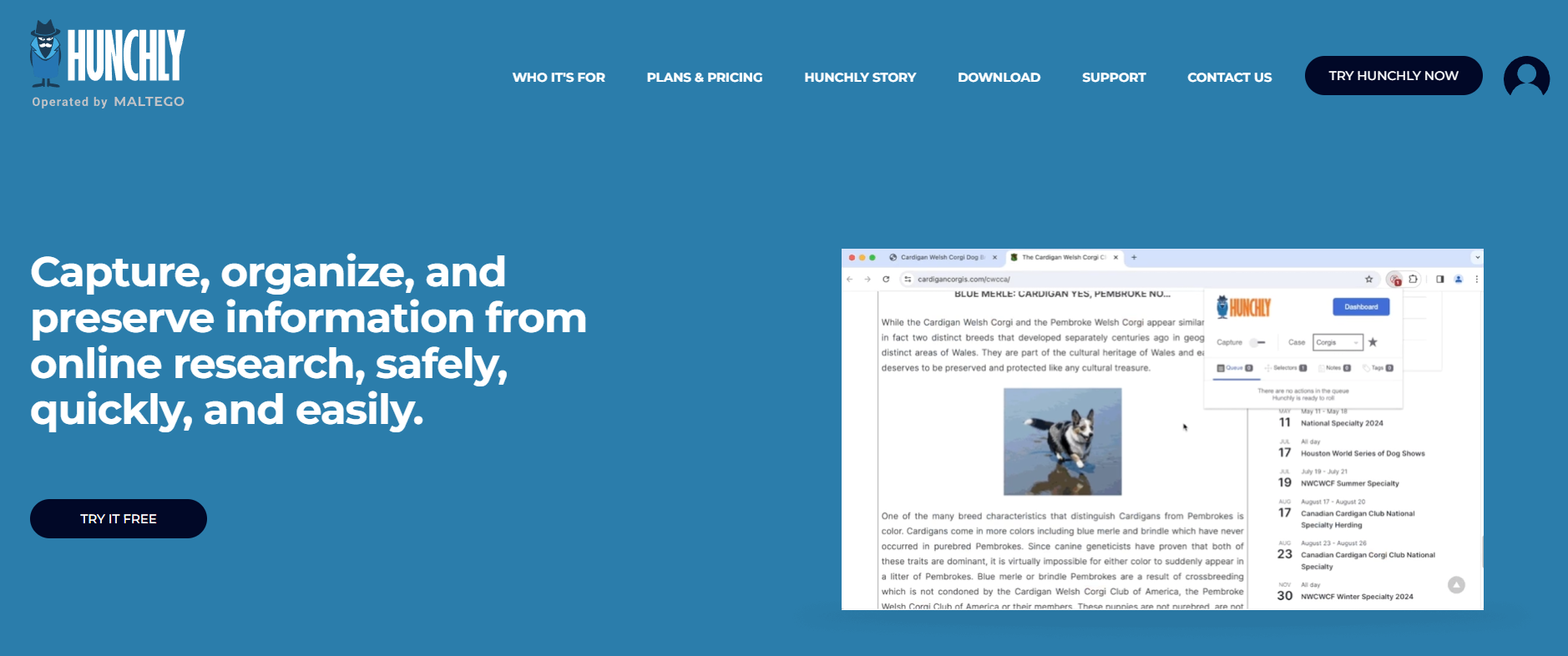 Top Paid OSINT Tools in 2025 - Lampyre